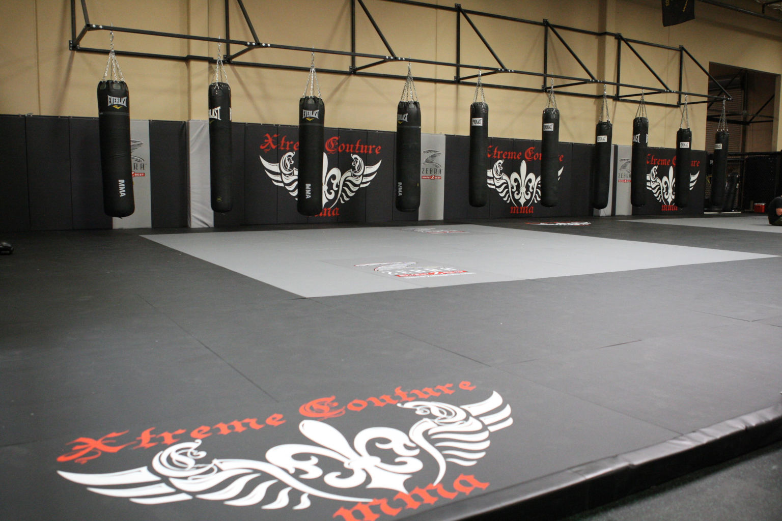 What To Know About Adding Logos To Your Gym - ZEBRA Athletics Europe